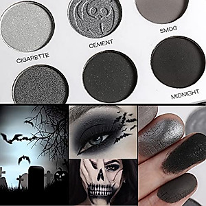 Afflano Gray Eyeshadow Palette Grey Black White Silver, Blendable Smokey Eye Eyeshadow Palette, for SFX Skull Goth Look Halloween Makeup Palette, Long Lasting Dark Eye Shadow Pallet - Panda