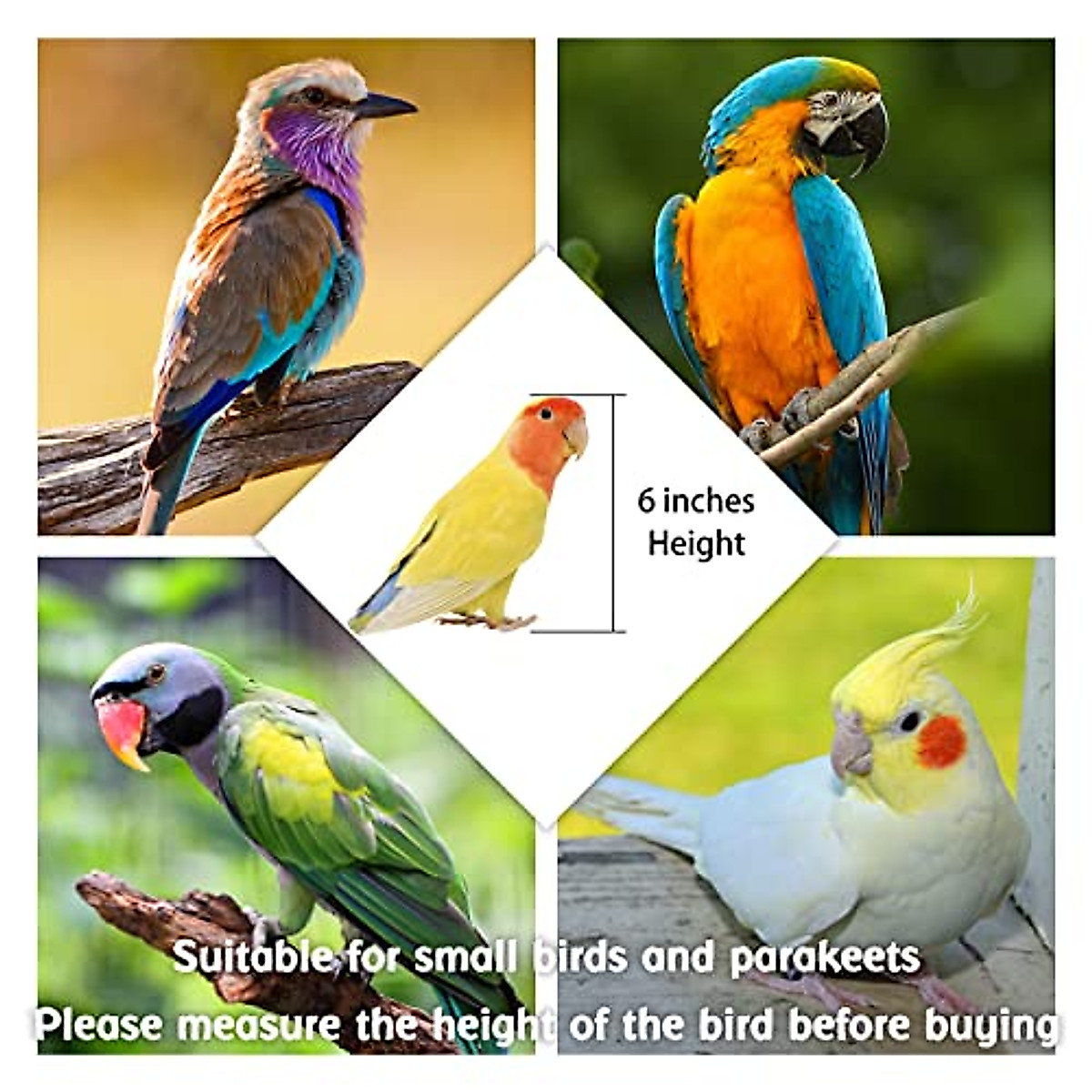 Flat top Bird Travel cage,21 inch Parrot Carrier with Wooden Perch Feeding Cup for Conures Cockatiel Parakeets（Aluminum Frame）