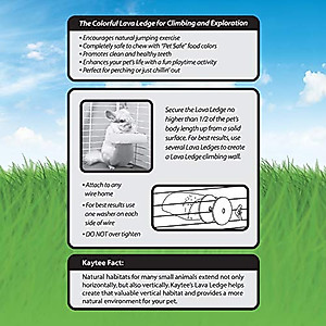 Kaytee Lava Ledge for Attaching To Small Pet Animal Wire Habitats