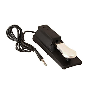 Roland Fantom-08 Synthesizer Keyboard - Bundle with Double Braced X-Style Keyboard Stand, Sustain Pedal, Instructional DVD, Online Piano Lessons, and Austin Bazaar Polishing Cloth