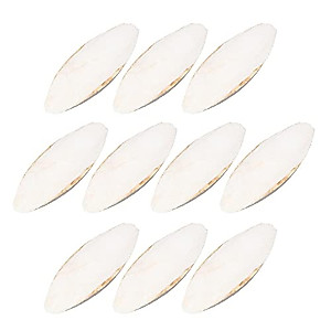 Parrot Chew Toy - Bird Cuttlebone Toys Natural Cuddle Bone Chewing Cuttlefish Bone Calcium Chewing Molar Parrot Trimming Toy for Conures Parakeets Cockatiel Macaw