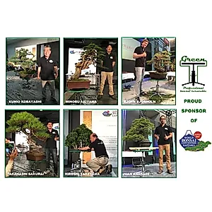 Pollice Verde Green T Plus - Professional Bonsai Turntable - Square