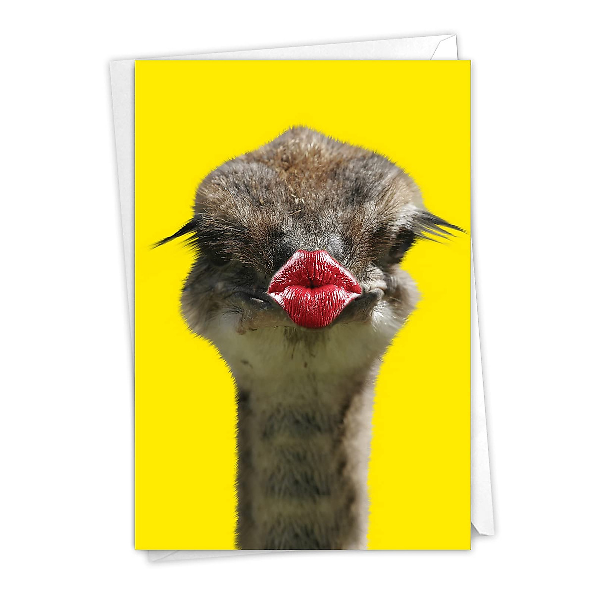 NobleWorks Wild Kisses - Ostrich - Get Well Greeting Card with Envelope (4.63 x 6.75 Inch) - C9280GGWG