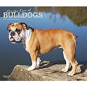 For the Love of Bulldogs 2022 14 x 12 Inch Monthly Deluxe Wall Calendar with Foil Stamped Cover, Animal Dog Breeds DogDays