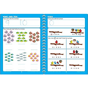 School Zone - Kindergarten Write & Reuse Workbook - Ages 5 to 6, Spiral Bound, Write-On Learning, Wipe Clean, Includes Dry Erase Marker, Early Math, and More (School Zone Write & Reuse Workbook)