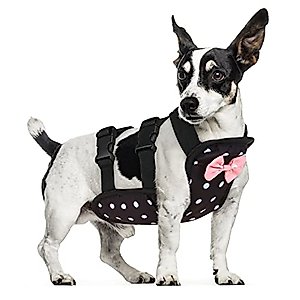 Queenmore Dog Chest Protective Shirt, Belly Clothes to Keep Warm and Keep Chest Clean, Waterproof Adjustable Breathable Apparel for Male Female Dogs, Black S
