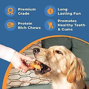 K9warehouse USA Cow Knee Caps for Dogs | 100% Natural Beef Knee Caps for Dogs, Beef Bones for Dogs, Dog Knee Cap Bones for Pets, Meaty Dog Bones Large, Medium and Small Dogs