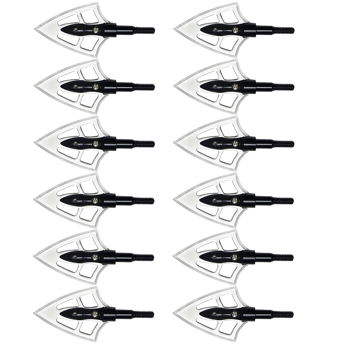12Pcs Stainless Steel 100 Grain Broadheads 2 Blades Hunting Tips for Crossbow Compound Bow Archery Hunting