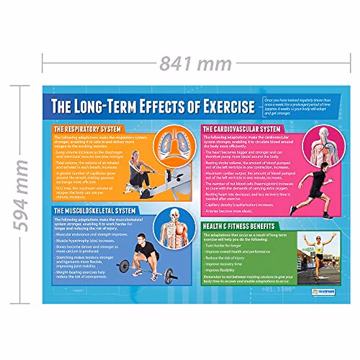 Daydream Education The Long-Term Effects of Exercise | PE Posters | Gloss Paper measuring 33” x 23.5” | Physical Education Charts for the Classroom | Education Charts