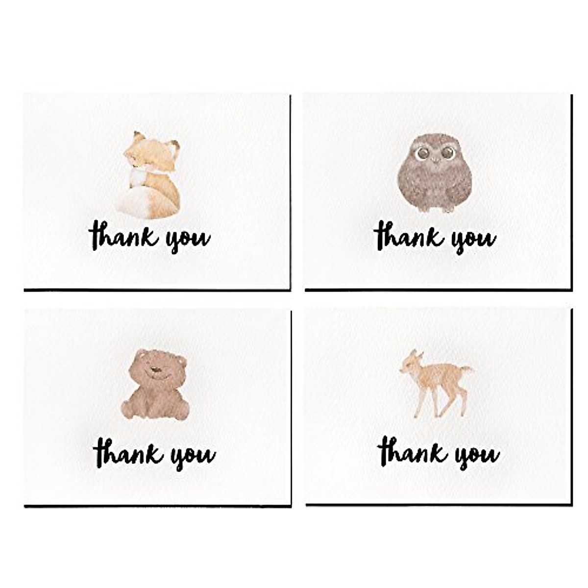 Cute Woodland Animal Thank You Cards and Gray Self Seal Envelopes 36 Pack - Opie's Paper Company