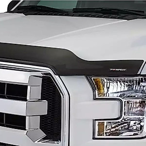 Stampede 2258-2 Vigilante Premium Smoke Bug Shield Hood Protector for Dodge Caravan