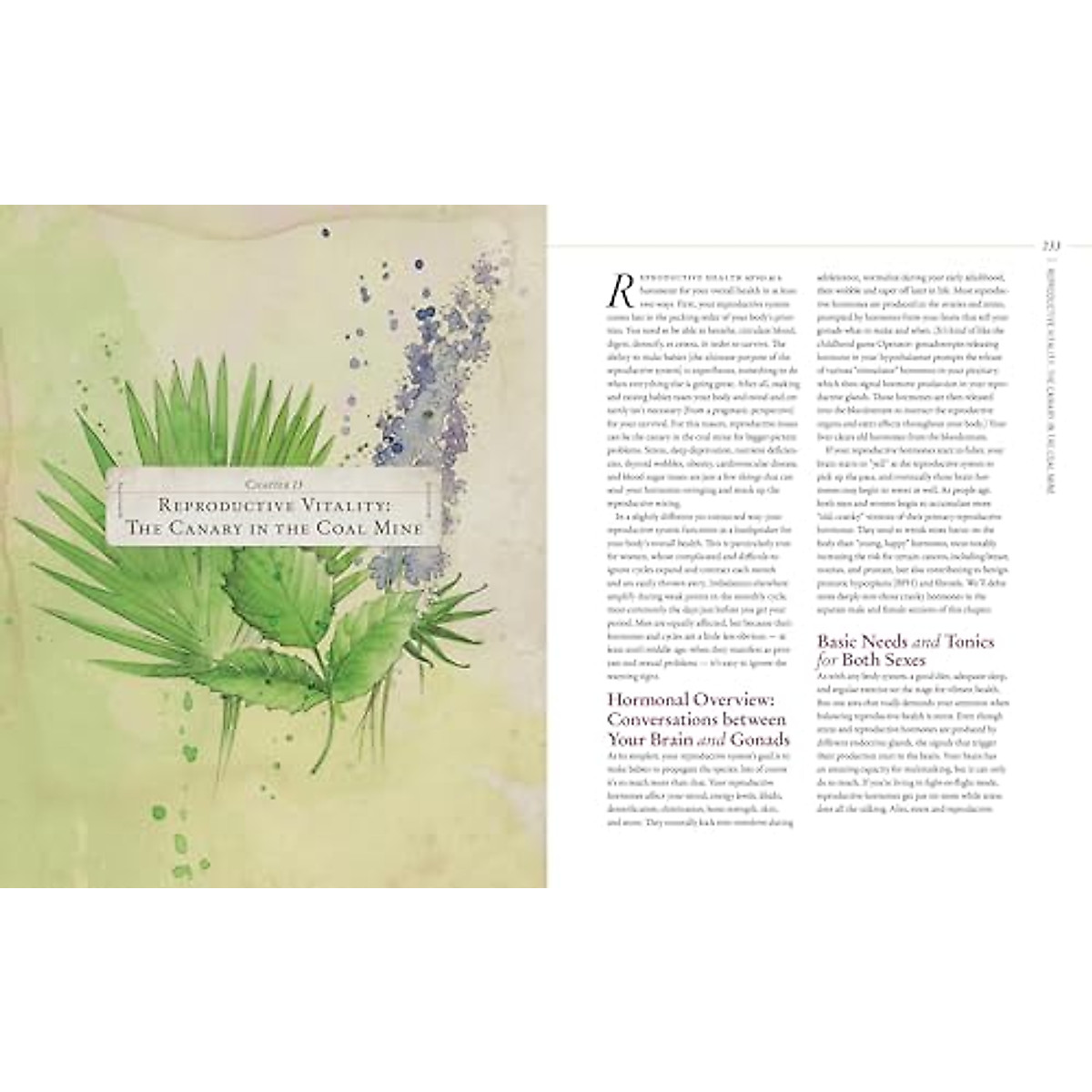 Body into Balance: An Herbal Guide to Holistic Self-Care