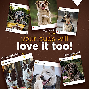 Natural Farm Himalayan Yak Cheese, Protein-Rich, Low-Allergen, Lactose-Free, Gluten-Free, 100% Natural - Extra-Large, 4 Pack