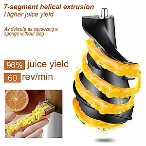 OverTwice Cold Press Juicer Machines, 5 Inch(127mm) Slow Masticating Juicer with Large Feed Chute, 250W Electric Juicer Machines Vegetable and Fruit (Stainless steel body)