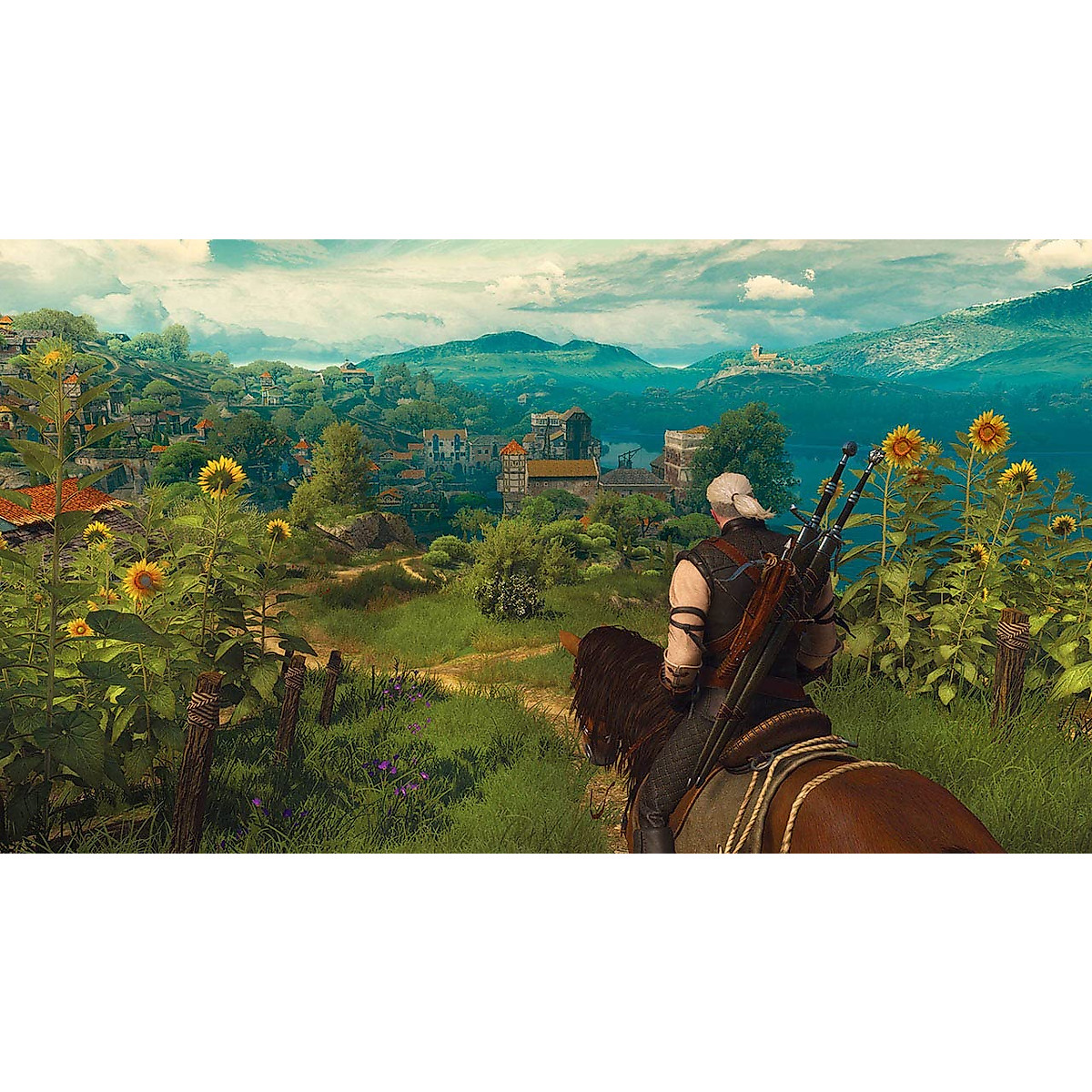 The Witcher 3 Wild Hunt Complete Edition (Nintendo Switch)