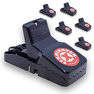 Mouse Traps, Mice Traps for House, Small mice Trap Indoor, Mouse Traps no See Kill, Reusable Mousetrap, Mice Trap That Work Outdoor, Pest Control Traps