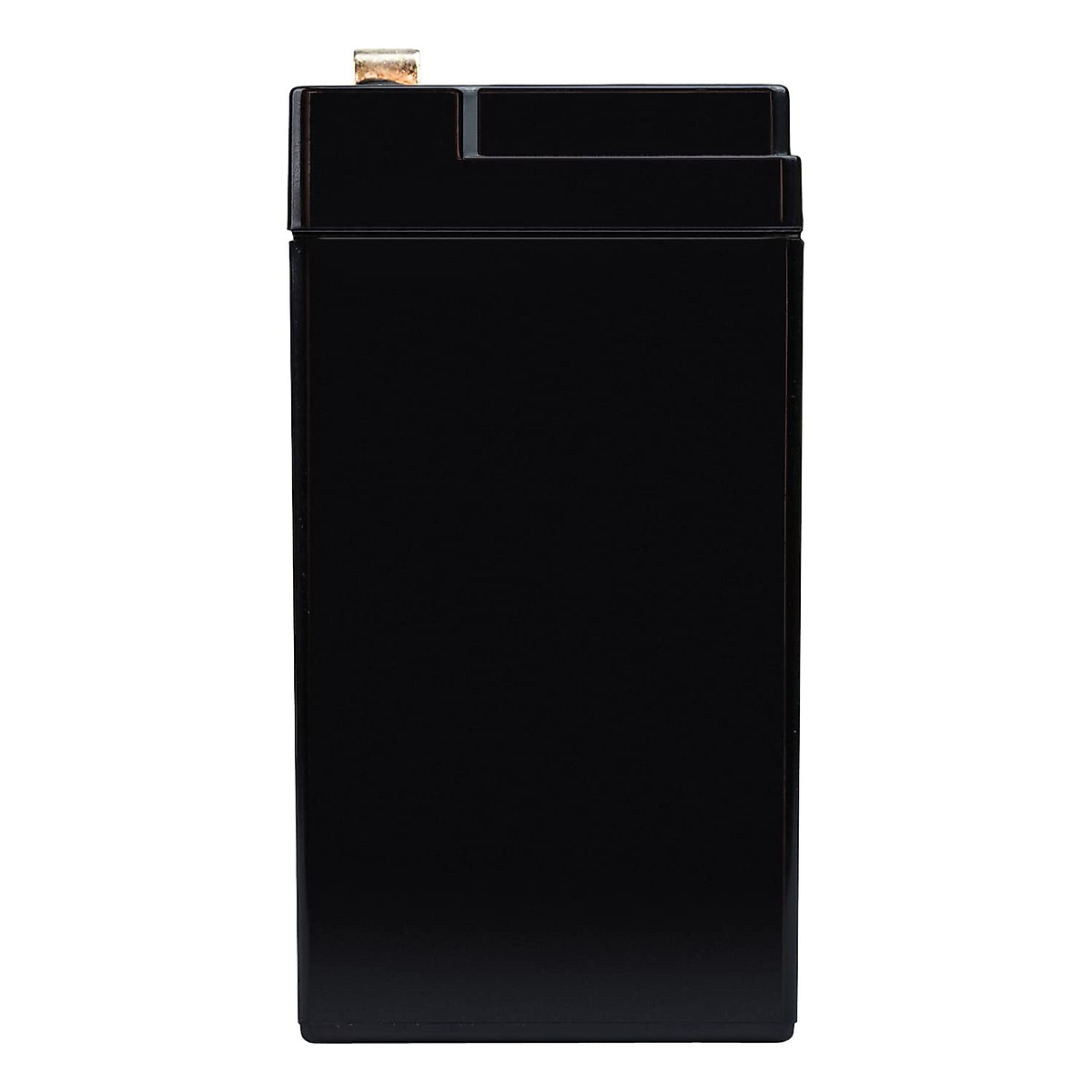 ExpertPower 6V 10AH Sealed Lead Acid (SLA) Battery with F1 Terminal