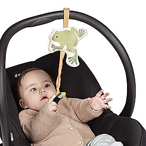 Manhattan Toy Firefly Frog Baby Travel Toy with Chime, Jiggle Pull, Crinkle Fabric and Adjustable Fabric Loop for Carriers and Cribs