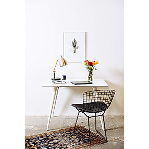 BENCHMARK BOUQUETS - 12 Stem Rainbow Roses (Glass Vase Included), Next-Day Delivery, Gift Fresh Flowers for Birthday, Anniversary, Get Well, Sympathy, Graduation, Congratulations, Thank You