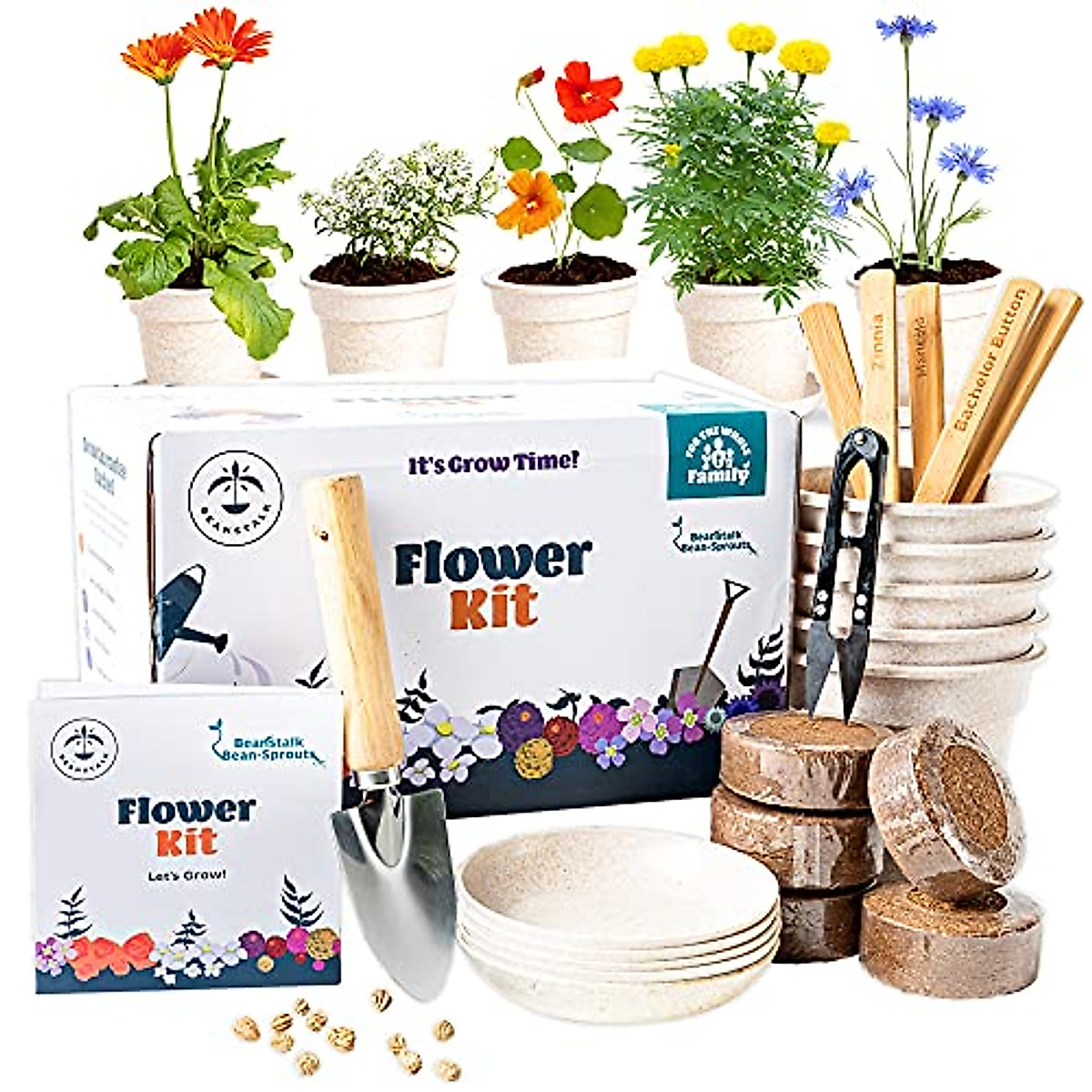 Flower Growing Kit by Beanstalk - 5 Types of Non-GMO Flower Seeds, Bachelor Button, Zinnia, Marigold, Virginia Stock, Baby's Breath - Best Birthday Garden Plant Gifts for Girls, Kids Age 5 6 7 8 9 10