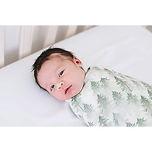 Copper Pearl Large Premium Knit Baby Swaddle Receiving Blanket Evergreen
