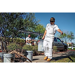 Dickies mens Painters Bib overalls and coveralls workwear apparel, White, 40W x 30L US