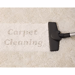 Goideal Oval Shaggy Bedroom Rug 2.6 x 5.2 Feet Fluffy Area Rugs for Girls Boys Kids Room Nursery Floor Carpet Home Decoration, Cream