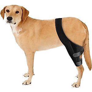 JUANWAN Dog Knee Brace Leg Braces - Dog Canine Knee Stifle Brace Wrap Dog Knee Brace for Torn ACL Hind Leg Joint Pain Muscle Sore Pet Brace Reduces Pain and Inflammation (M)