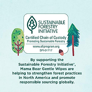 Amazon Brand - Mama Bear Gentle Fragrance-Free Baby Wipes, Hypoallergenic, 800 Count, 100 Count (Pack of 8)
