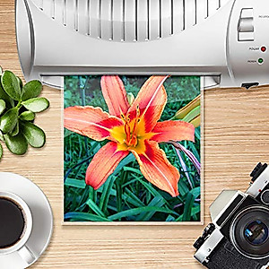 Everest Thermal Laminating Pouches, 8.9 x 11.4 Inches, 3 Mil Thick, 220 - Pack, Letter Size Sheets, Clear(TH0300-02)