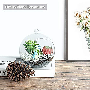 T4U Tumbled Chips Stones Crushed Black Gravels 1 LB, Irregular Shaped Natural Rock Pebbles, DIY Polished Rocks for Potted Plant, Bonsai, Vase Fillers Aquarium Decoration, Aquarium Gravel Rocks