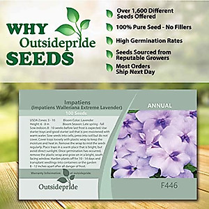 Outsidepride Impatiens Plant Lavender Shade Garden Flower Plants for Pots, Hanging Baskets, Containers, Window Boxes - 100 Seeds
