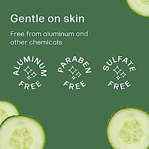 Dew Well - Refresh Deodorant Wipes - A Fresh Start When You’re On the Go - Aluminum, Paraben, and Sulfate Free - Variety Pack (Mint, Rose, and Cucumber) - 50 Individually Wrapped Wipes