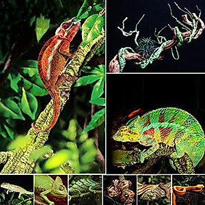 kathson 3 PCS Reptile Vines Plants Flexible Bendable Jungle Climbing Vine Terrarium Plastic Plant Leaves Pet Tank Habitat Decor for Bearded Dragons Lizards Geckos Snakes Frogs and More Reptiles