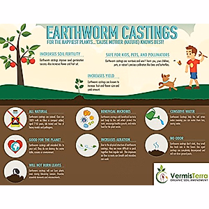 VermisTerra Earthworm Casting Tea - Organic Worm Tea - Gallon - Soil Conditioner Concentrate - Living Enzymes, Nourish Plants and Boost Growth - Feeds All Crops: Vegetables, Flowers, Fruit and Trees
