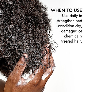 ion Moisture Conditioner, Moisturizing Treatment, Vegan, Paraben Free, Hydrating, Reduces Breakage