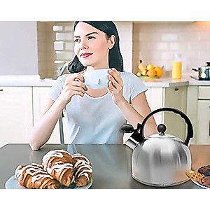 2.5 Liter Whistling Tea Kettle - Modern Stainless Steel Whistling Tea Pot for Stovetop with Cool Grip Ergonomic Handle (Stainless Steel)
