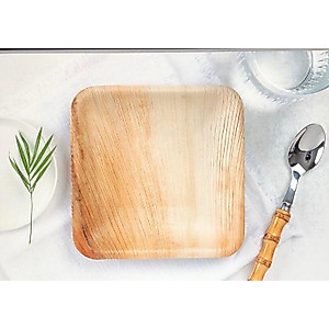 Palm Leaf Plates - Compostable and Grease Resistant 6 Inch Square Plates - Eco Friendly Plate is 100% Natural, Sturdy & Microwave Safe - Disposable & Biodegradable Wood Alternative to Bamboo Plates