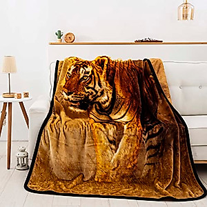 Northwest Savanna Tiger Oversized Raschel Throw Blanket, 60" x 80"