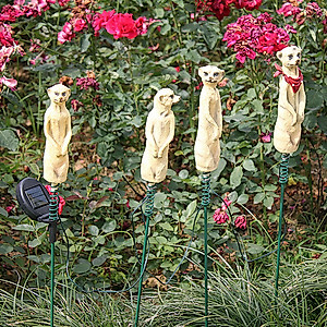 Penfly LED 4pcs Solar Power Resin Mongoose Light Night Lamp for Home Outdoor Yard Landscape Garden Decoration White Light Color Auto ON/Off