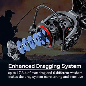 Dorisea Fishing Reel 7+1 Stainless Steel BB Ultra Smooth Aluminum Spinning Fishing Reel,Lightweight Spinning Reel for Freshwater Saltwater Fishing, Come with 109 yds Braided Line (CF4000)