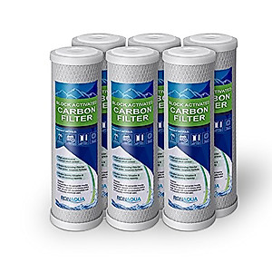 Block Activated Carbon Coconut Shell Water Filter Cartridge 5 Micron for RO & Standard 10” Housing WELL-MATCHED with WFPFC8002, WFPFC9001, WHCF-WHWC, WHEF-WHWC, FXWTC, SCWH-5 (6 Pack)