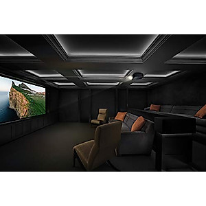 Sony 4K HDR Home Theater Video Projector (VPLVW695ES)