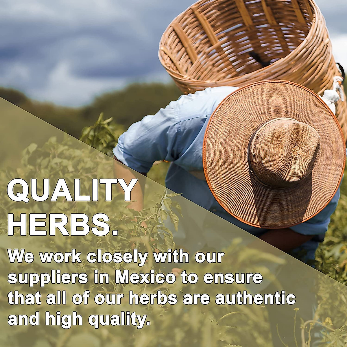 Evergreen Herbs Cinchona Bark 8 oz - Resealable Stand Up Pouch to Ensure Freshness!