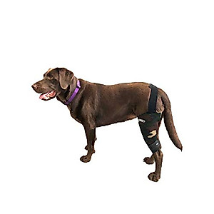 WALKABOUT Harnesses Camouflage Knee Brace for Dogs, Treat ACL, CCL Injury, Arthritis, Joint Pain, Fatigue and Stress with The Knee Brace (Medium-Large Right)