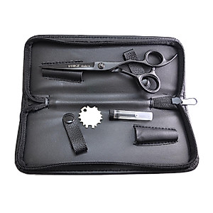 Professional Hair Scissors Salon Shears 6 Inch, Extremely Sharp 440C Blades, DynaCut Razor Sharp Haircutting Shears Hairdressing Scissors with Cleaning Oil and Leather Protection Sleeve