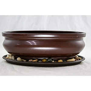 Calibonsai 9 inch Oval Heavy Duty Plastic Bonsai/Succulent Pot + Tray + Rock + Mesh Combo