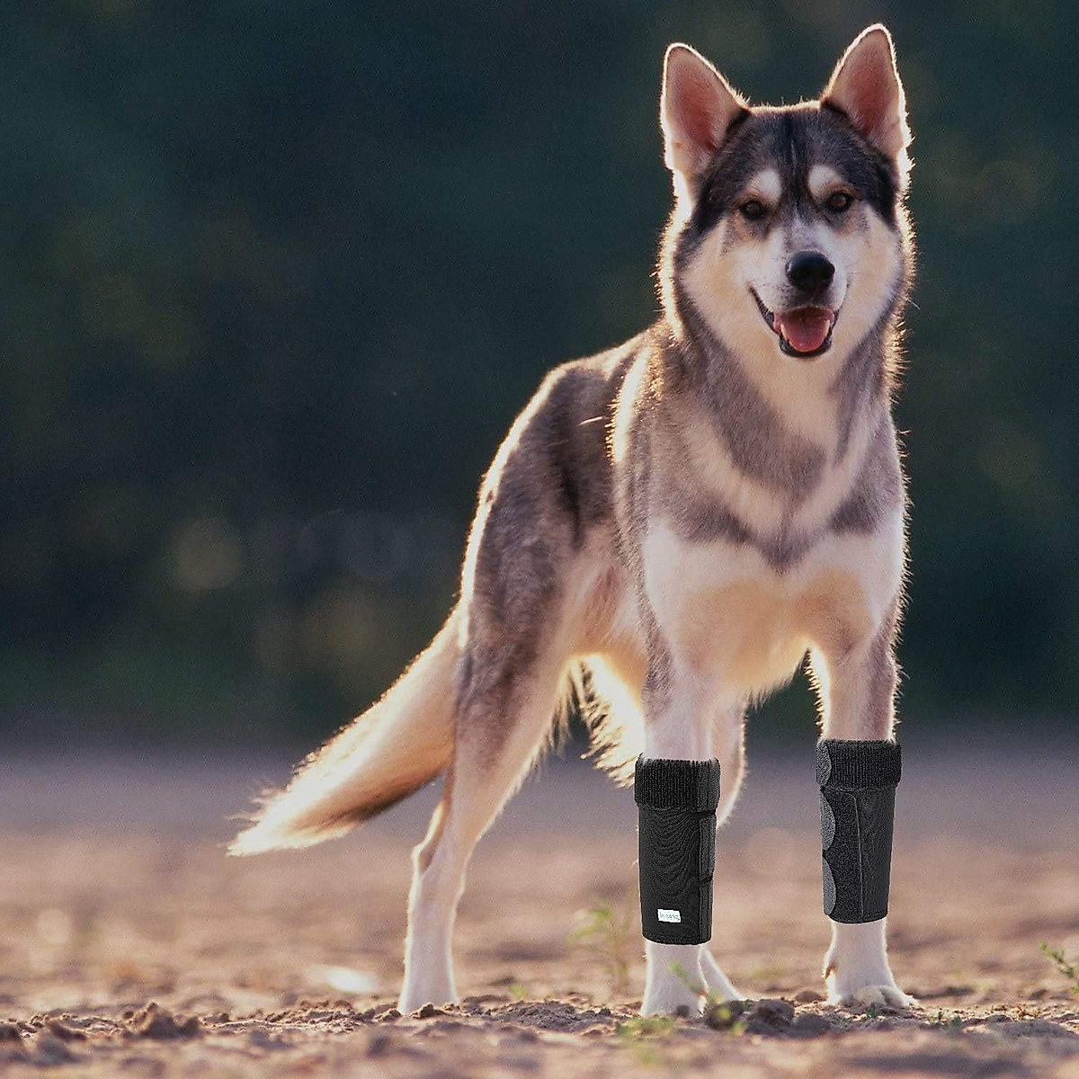 Dog Leg Brace, Pair of Dog Front Leg Compression Brace Canine Leg Wrap with Metal Strips & Safety Reflective Straps, Protects Wounds Brace Heals and Prevents Injuries and Sprains