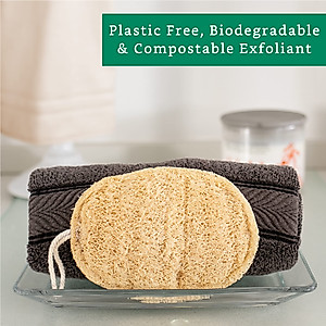 Natural Loofah Exfoliating Sponge (4 Pack) - Loofa Exfoliating Body Scrubber - Biodegradable Organic Loofah Sponge - Shower Luffa Sponges - Shower Lufa - Estropajos para el Cuerpo