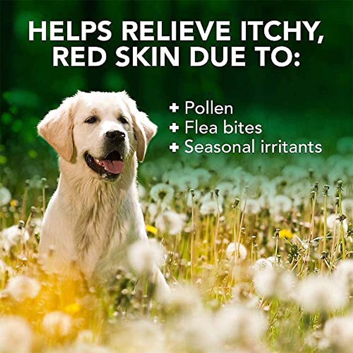 Vet's Best Allergy Itch Relief Dog Shampoo | Cleans and Relieves Discomfort from Seasonal Allergies | Gentle Formula | 16 Oz